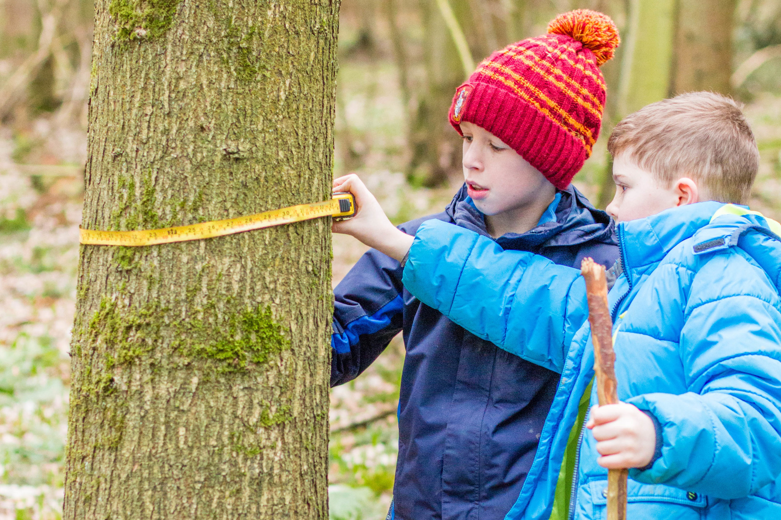Junior Forester Award - Royal Forestry Society