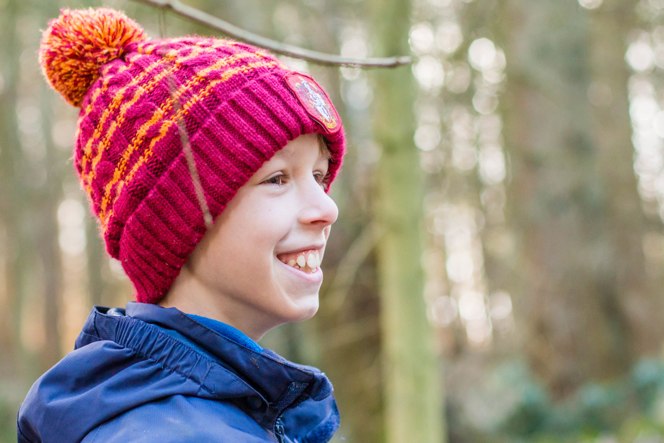 Junior Forester Award Certificates and Badges - Royal Forestry Society