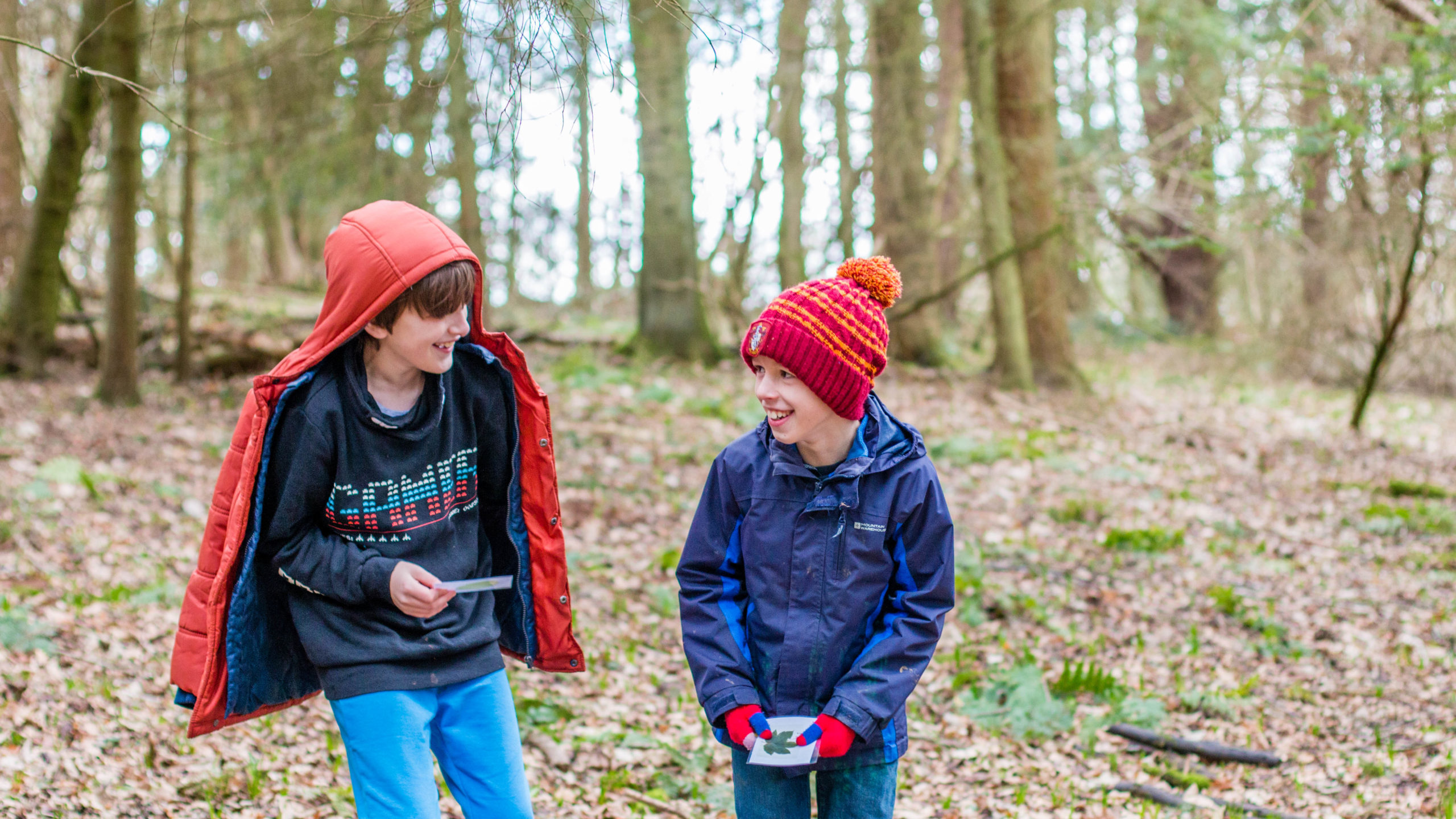 Songs to Sing in a Wood - Royal Forestry Society