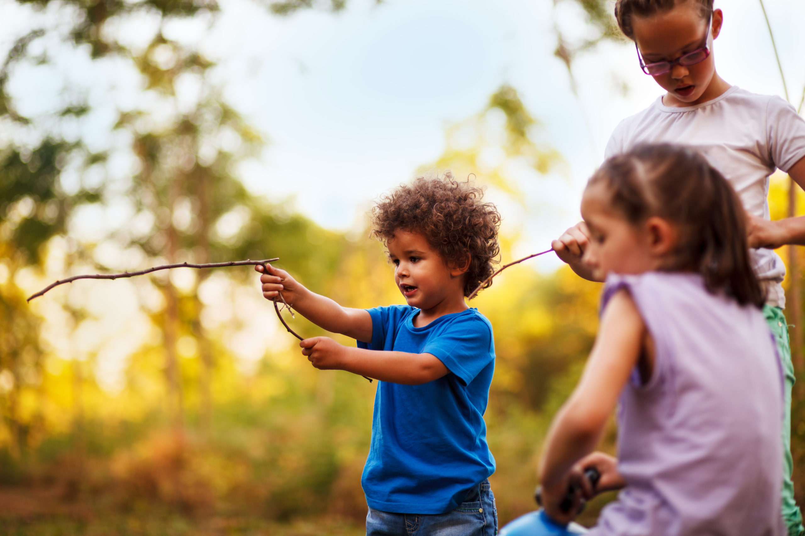 Early Years in the Forest - Royal Forestry Society