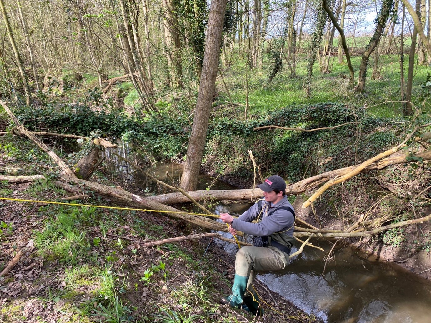Forest Researcher - Royal Forestry Society