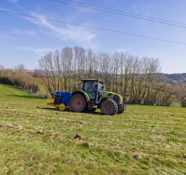 Increasing Understanding of Direct Seeding in UK - Royal Forestry Society
